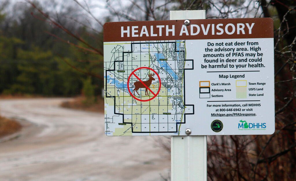 PFAS In Deer Prompts Health Warnings For Hunters - FitNTip